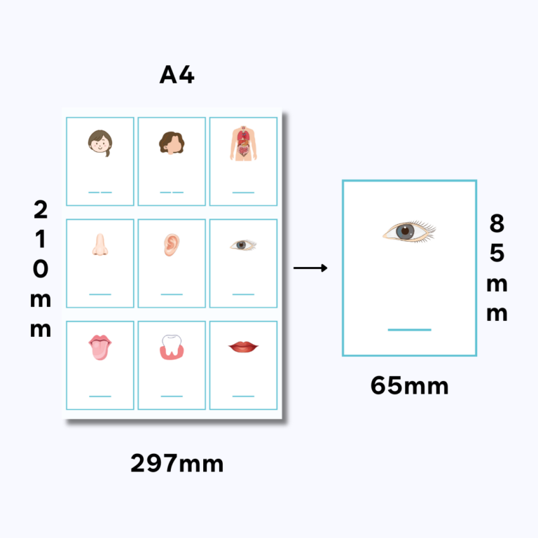 Korean Printable Vocabulary Flashcards - HH Korean